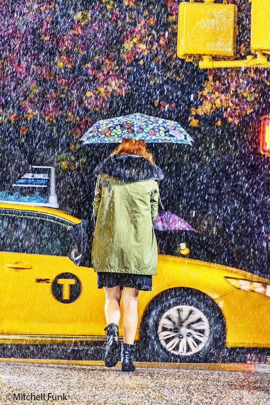 mitchell funk on The Creative Finder