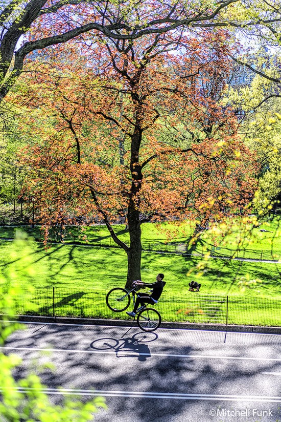 mitchell funk on The Creative Finder