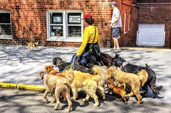 mitchell funk on The Creative Finder